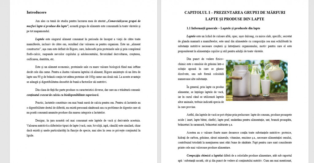 Comercializarea grupei de marfuri lapte si produse din lapte