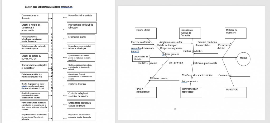 Controlul tehnic de calitate si managementul calitatii